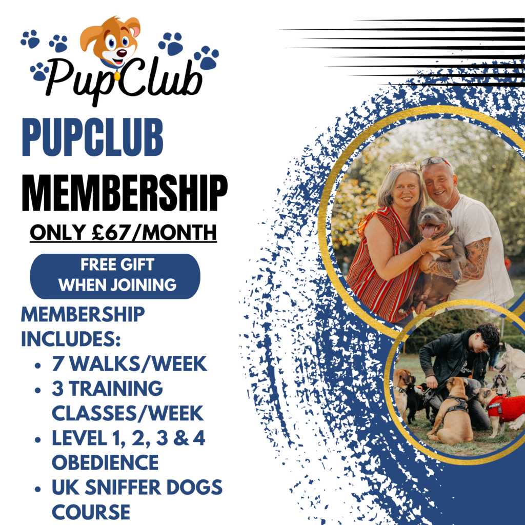 12 Months PupClub Membership | Pup Club Official LTD