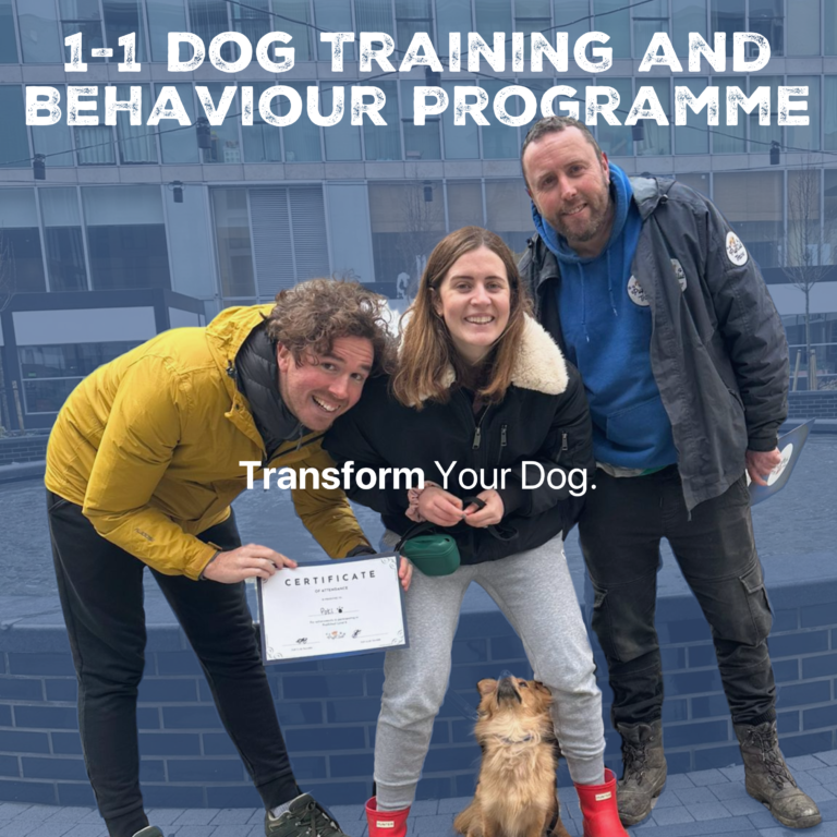 Pup Club Official LTD – Dog Training Made Easy