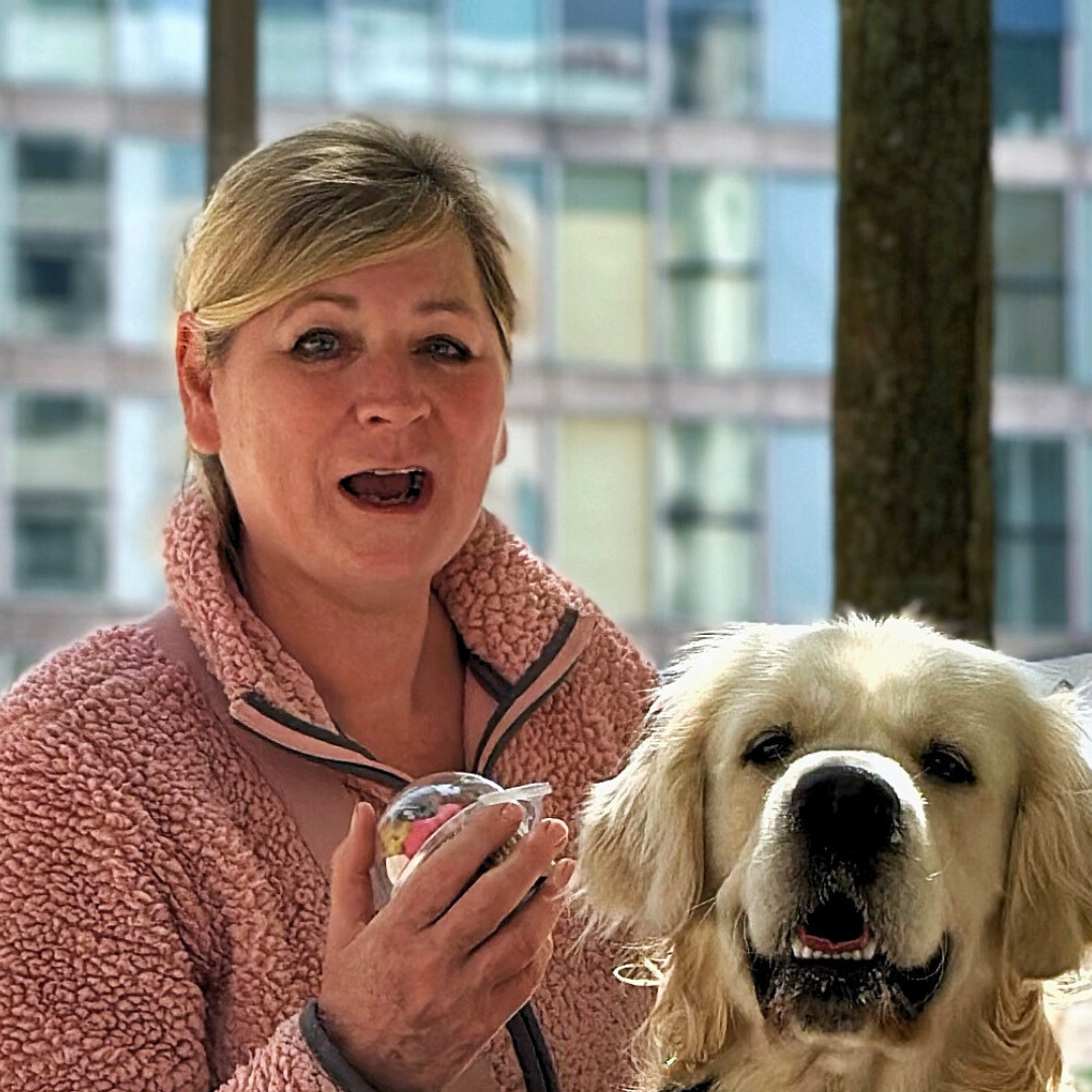 Dog Training Milton Keynes, Northampton, Luton, Bedford & Buckingham ...