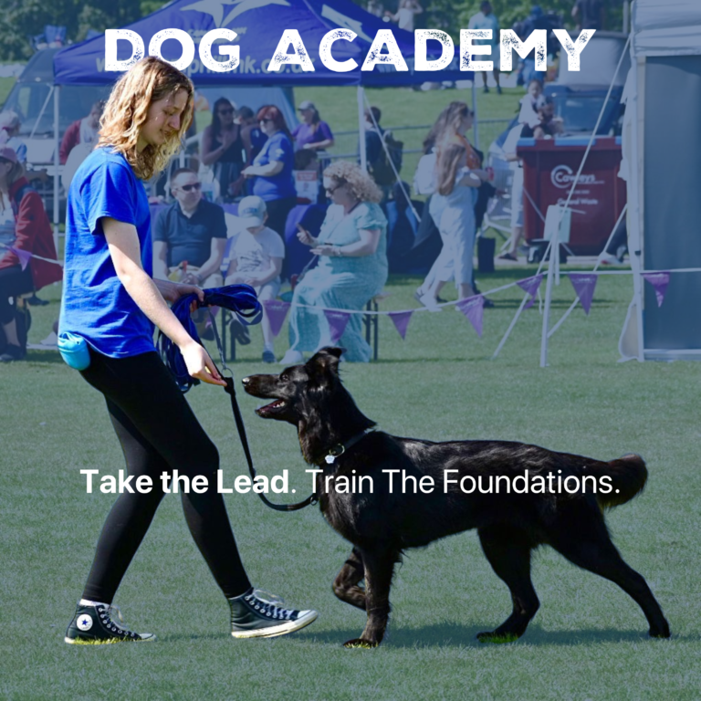 Pup Club Official LTD – Dog Training Made Easy