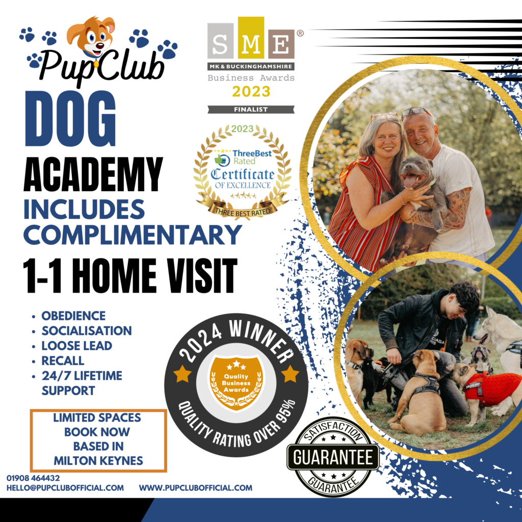 6 Week Dog Academy Course with FREE Private Training Session | Pup Club ...
